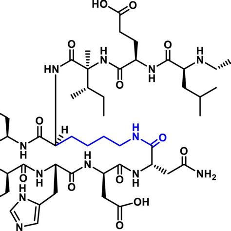 Chemical Structure Of Bacitracin A The Side Chain‐to‐tail Closure Is Download Scientific