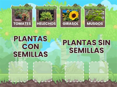 Identificar Las Plantas Con Y Sin Semillas Сортування за групами