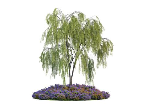 Render Trees Isolated On White Background Stock Illustration Illustration Of Isolation Leaf