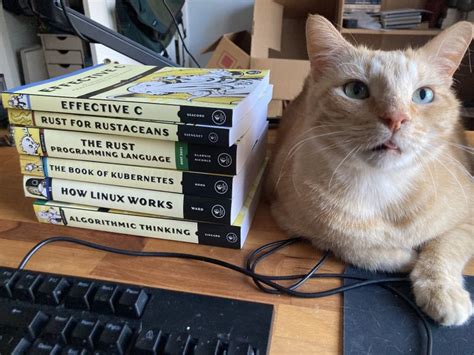 Rust Kubernetes Devops Softwaredelivery Sre Technicalwriting