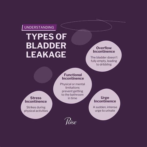 Know Your Flow Bladder Leak Pads Vs Period Pads Poise® Us