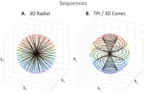 81 K Space Trajectories From Ute Sequences A 3d Radial B Twisted