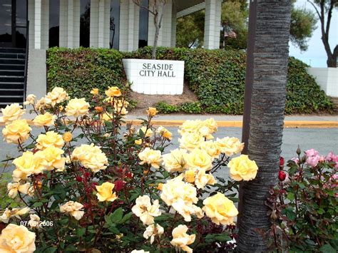 Senior And Associate Civil Engineer Koff And Associates