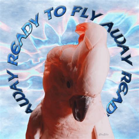 Ready To Fly Away Meme Funny Animals Meme Ready To Fly Away Meme