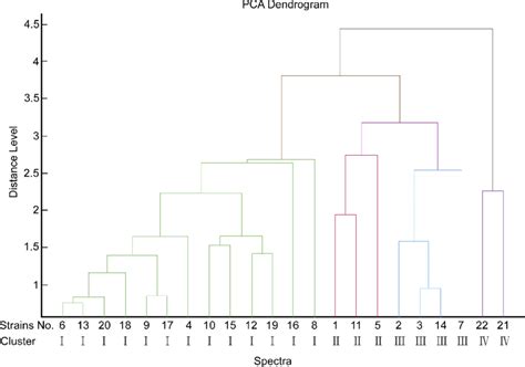 Maldi Tof Ms Dendrograms For 22 Isolates Using Pca Cluster Analysis To