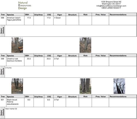 Tree Inventory Software For Municipalities Arborists Cities Towns Homeowners Associations