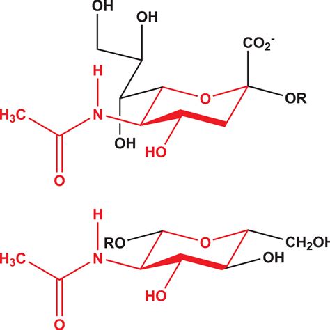 Figure 1 From Recent Advances In Employing Molecular Modelling To Determine The Specificity Of