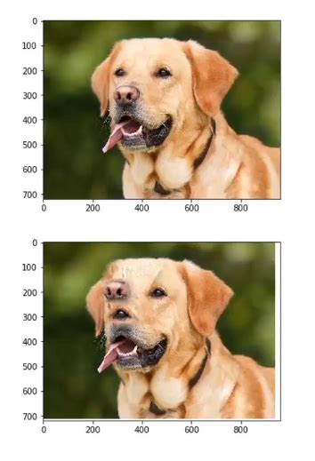 Convolutional Neural Network Pytorch CNN Using Pytorch