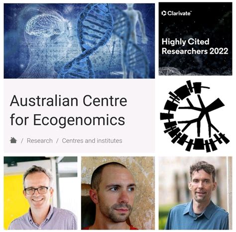 Chris Rinke On Linkedin Ace Ace Uq Highlycited2022 Ace Scmb