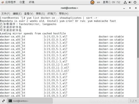 Centos7 Dockeranddocker Compose安装教程docker Compose Version V2203 Csdn博客