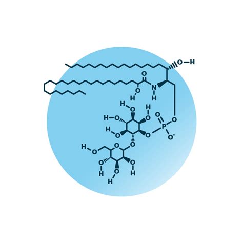 Mipc Analysis Lipid Analysis Lipotype Gmbh