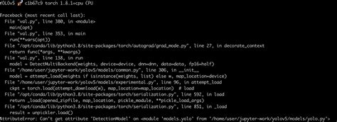 yolov5 오류 can t get attribute detectionmodel on