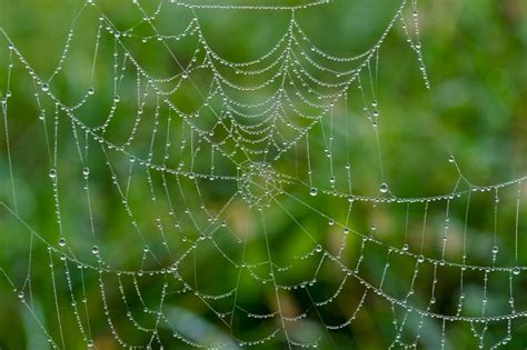Top Interview Questions And Answers For Web Apis Blog