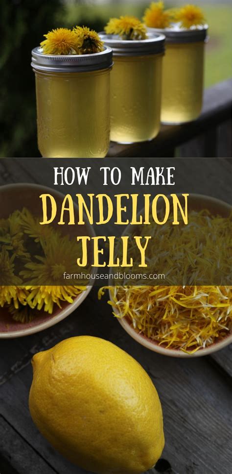 How To Make Dandelion Jelly Recipe Dandelion Jelly Jelly Recipes