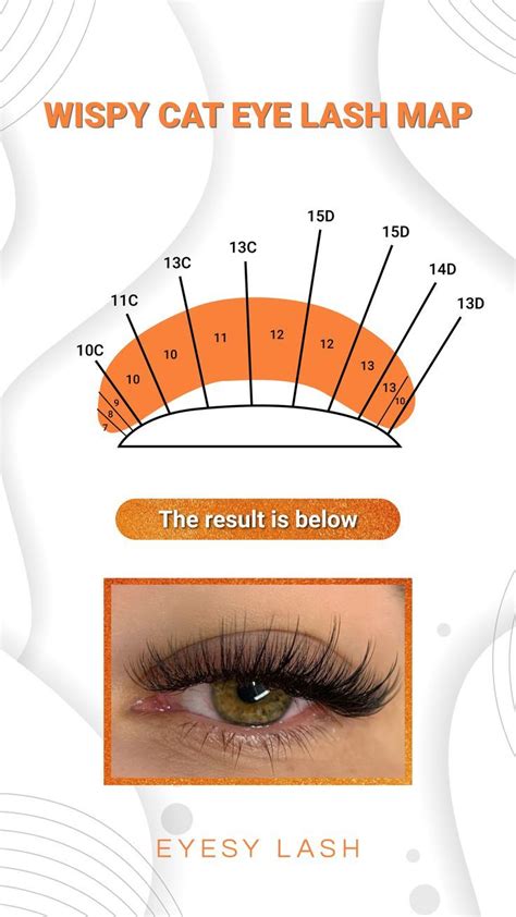 Wispy Cat Eye Lash Map Perfect Eyelashes Lashes Whispy Lashes