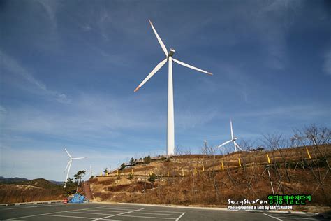 영덕여행 영덕 풍력발전단지 언덕위의 하얀풍차 네이버 블로그