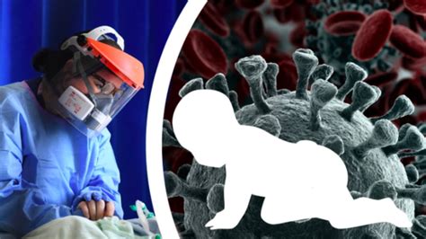 Sex Veckor Gammal Bebis Har Dött Av Coronaviruset