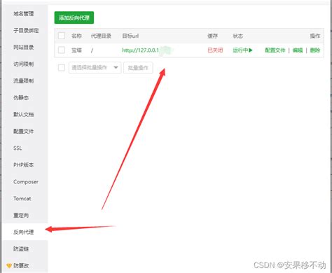 宝塔 反向代理设置宝塔代理配置 Csdn博客 宝塔 反向代理设置宝塔代理配置 Csdn博客