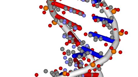 What The Peppered Moth Can Teach Us About Evolution