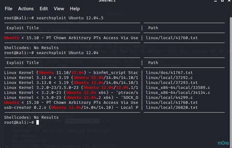 Linux系统提权——基于已经拿到 Data权限 Csdn博客
