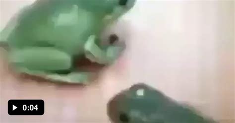 Wtf Bro 9gag