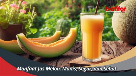 Manfaat Jus Melon Manis Segar Dan Sehat Biotifor