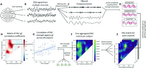 Main Steps Of The EEG Data Analysis The Signal From Each EEG Channel Download Scientific