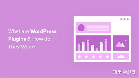 什么是 Wordpress 插件？它们是如何工作的？ 知乎