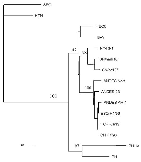 maximum parsimony tree analysis comparing s nucleotide sequence of