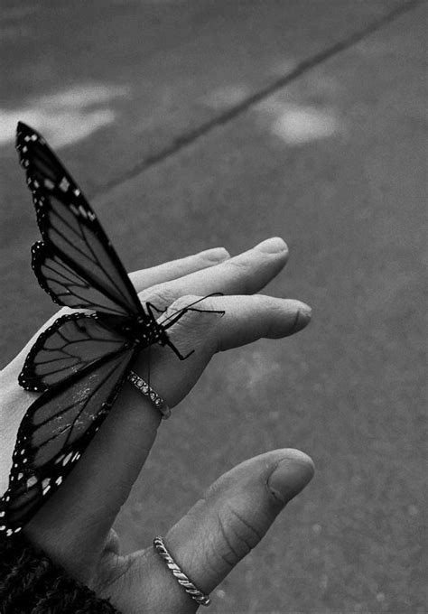 Pin By Sariah Christensen On A Vibe Black Butterflies Aesthetic