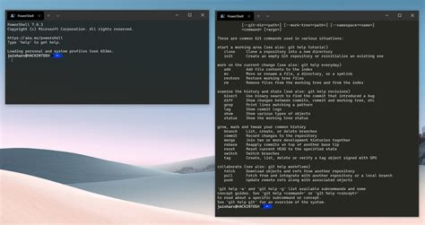 Windows Terminals
