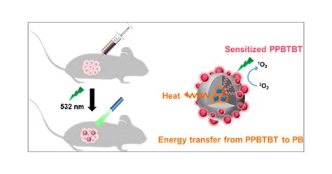 Silica Based Platform Decorated With Conjugated Polymer Dots And Prussian Blue For Improved