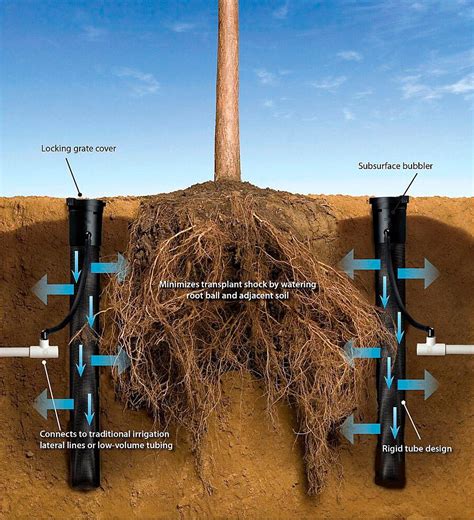 Irrigation System For Tree Line At James Silvers Blog