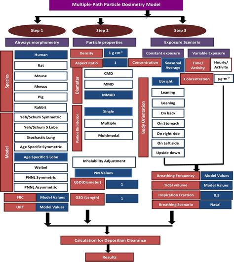 A Flowchart Of Multiple Path Particle Dosimetry Model MPPD Download Scientific Diagram