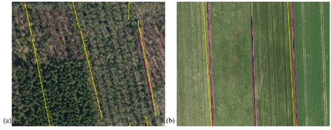 Examples Of Model Predictions A Shows An Example Of The Challenge In Download Scientific