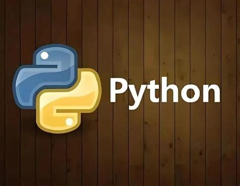 Python 动态进度条实现