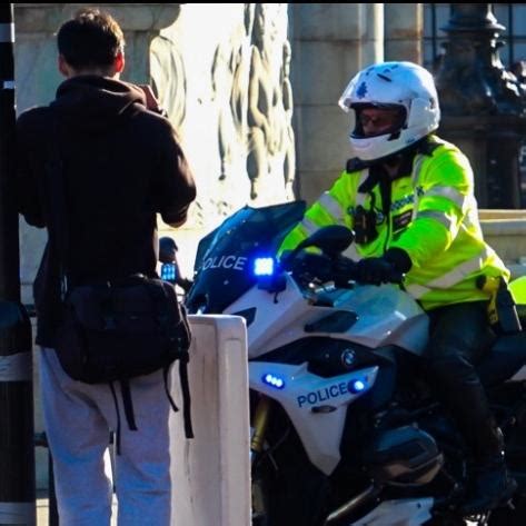 Official Seg Official Seg TikTok