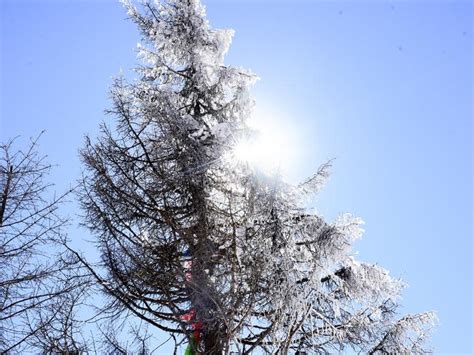 Python数据可视化库 Matplotlib——折线图，子图绘制 知乎