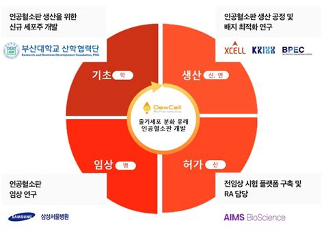 중요성 커지는 인공혈소판 산·학·연·병 협력으로 개발 및 상용화 나선다 바이오타임즈 중요성 커지는 인공혈소판 산·학·연·병 협력으로 개발 및 상용화 나선다 바이오타임즈