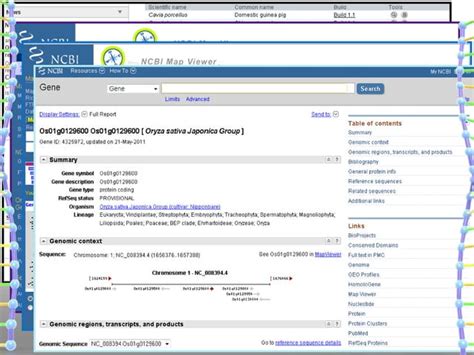 introduction to ncbi pptx databases computer software and applications