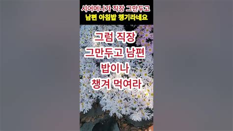 시어머니가 직장 그만두고 남편 아침밥 챙기라네요 시어머니 나팔신사 시댁사연 며느리 남편 직장인 재밌는사연 실화사연