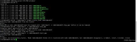 Rabbitmq集群部署之路【三】rabbitmq集群篇feature Flags The Previous Instance Of This Node Csdn博客