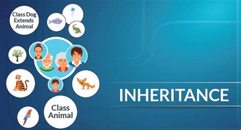 Nilakshi Miyurangika On Linkedin Object Oriented Programming Java