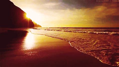  Sunshine Animated  On Er