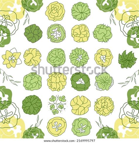 Trees Master Plan Tree Plans Architectural เวกเตอรสตอก ปลอดคาลขสทธ 2169995797