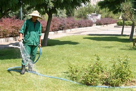 احداث بوستان ۲۵ هکتاری در بولوار توس مشهد جزئیات و محل دقیق شهرآرانیوز