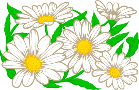 200 Free Daisy Clipart Images