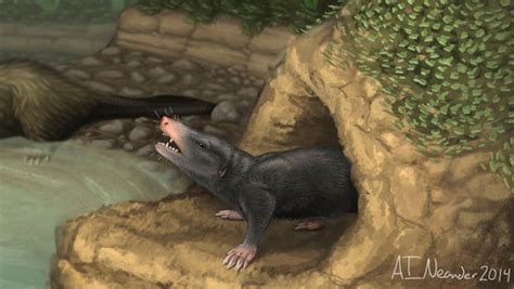 Sciencespeak Fossorial National Geographic Sciencespeak Fossorial National Geographic