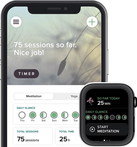 Timefully Meditation Timer • 1 App For Committed Meditators