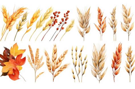 Premium Ai Image A Close Up Of A Bunch Of Different Types Of Wheat Generative Ai